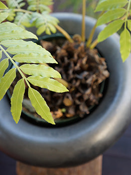 TREND UNION JAPAN トレンドユニオン 日本